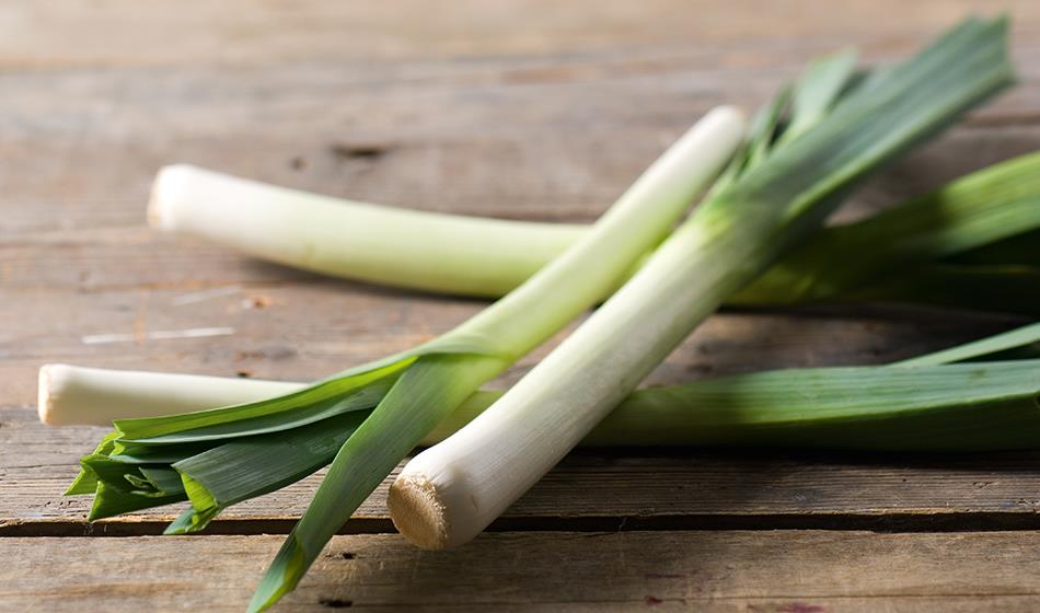 Leek | Flora